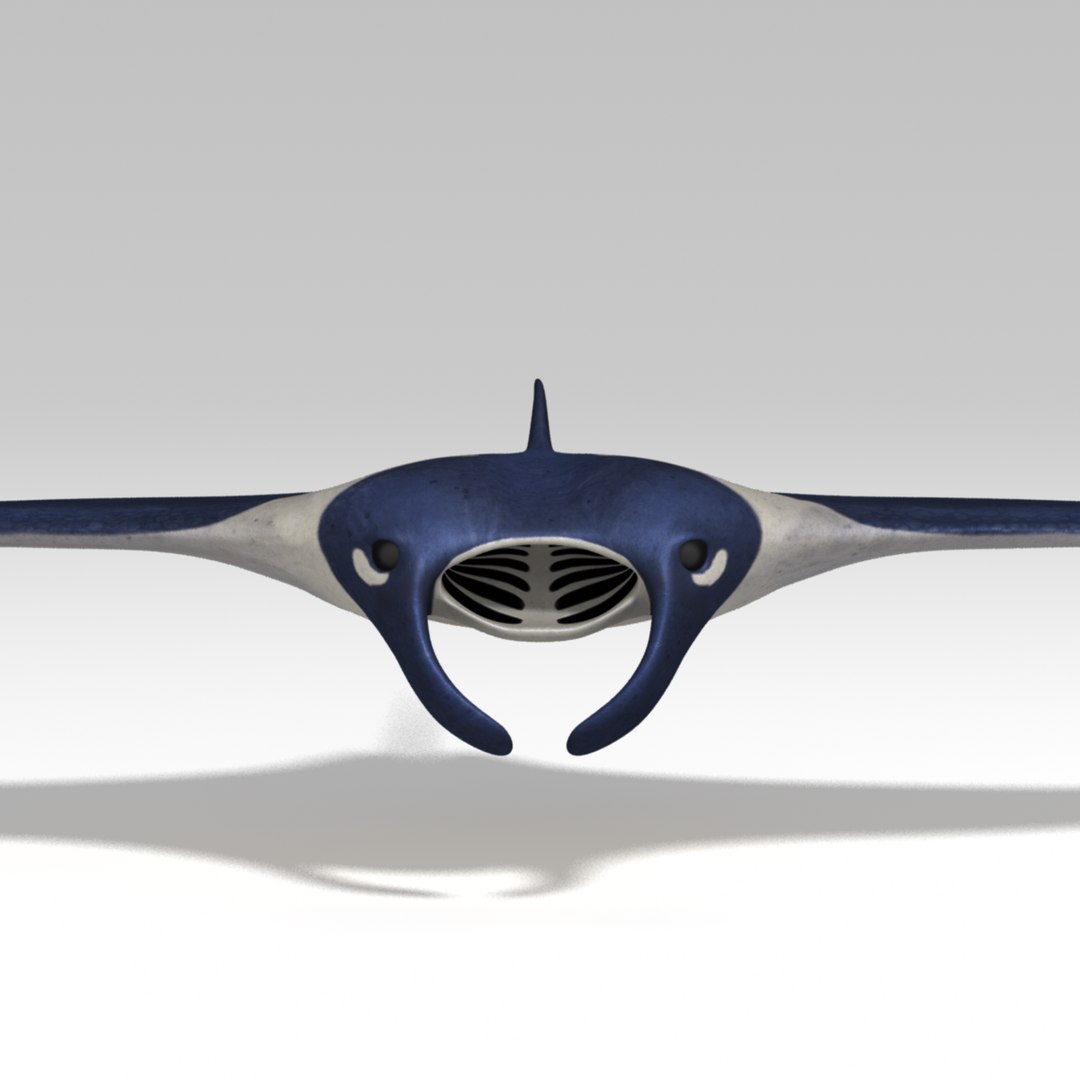 3d rigging manta model