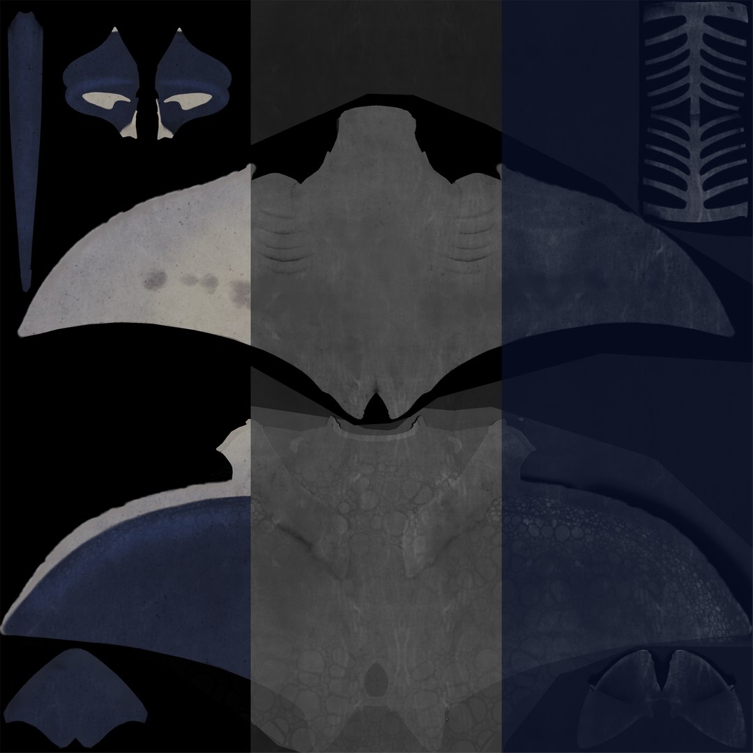 3d rigging manta model