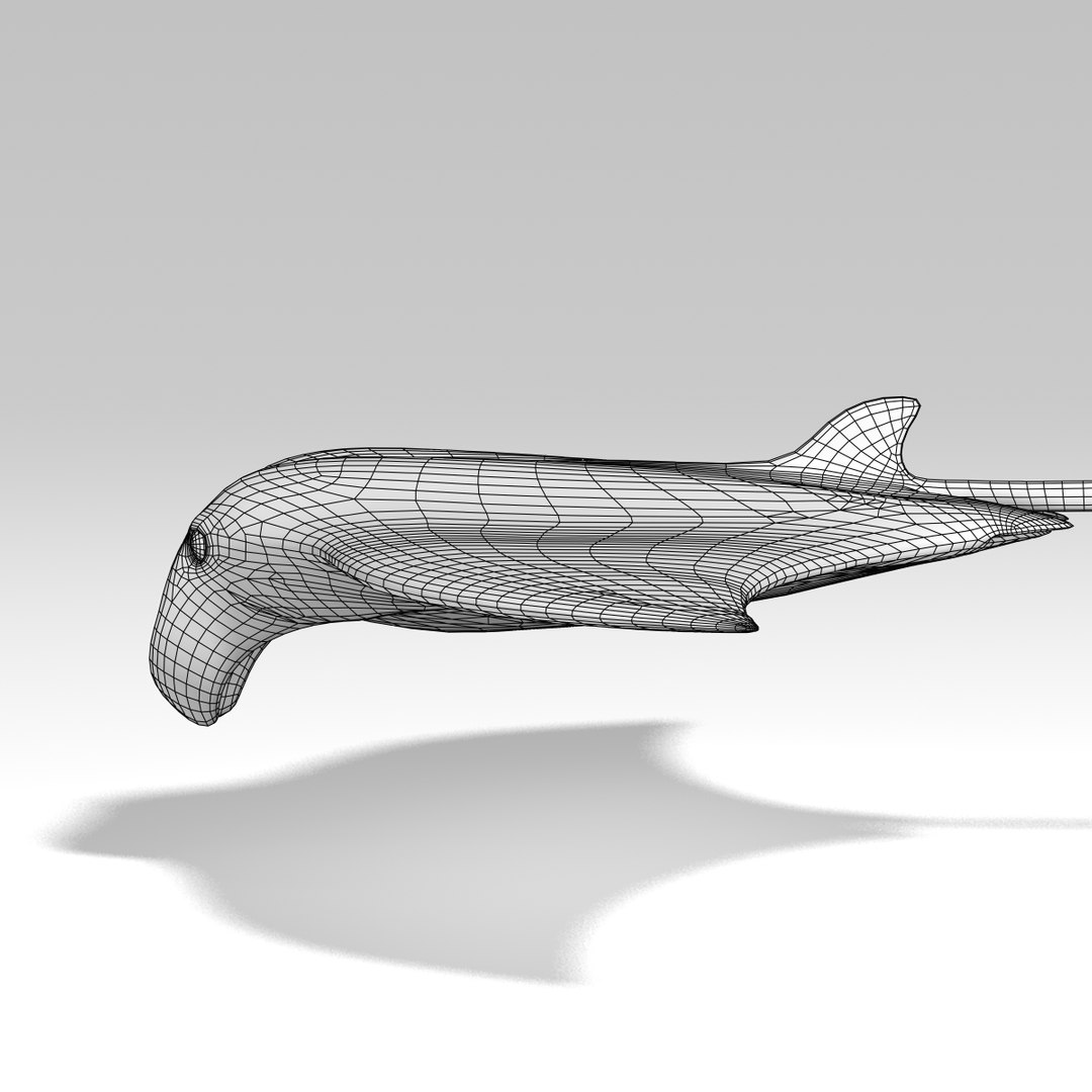 3d rigging manta model