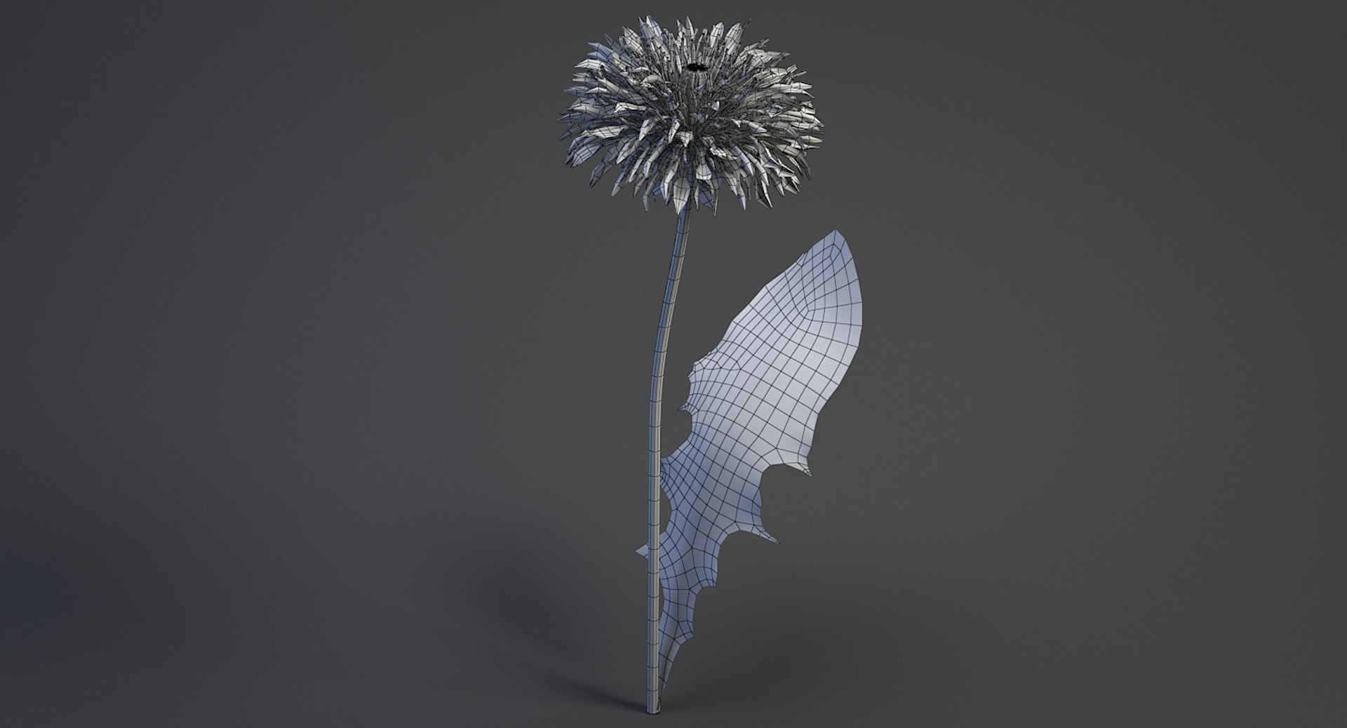 3D Realistic Dandelion Flower - TurboSquid 1230852