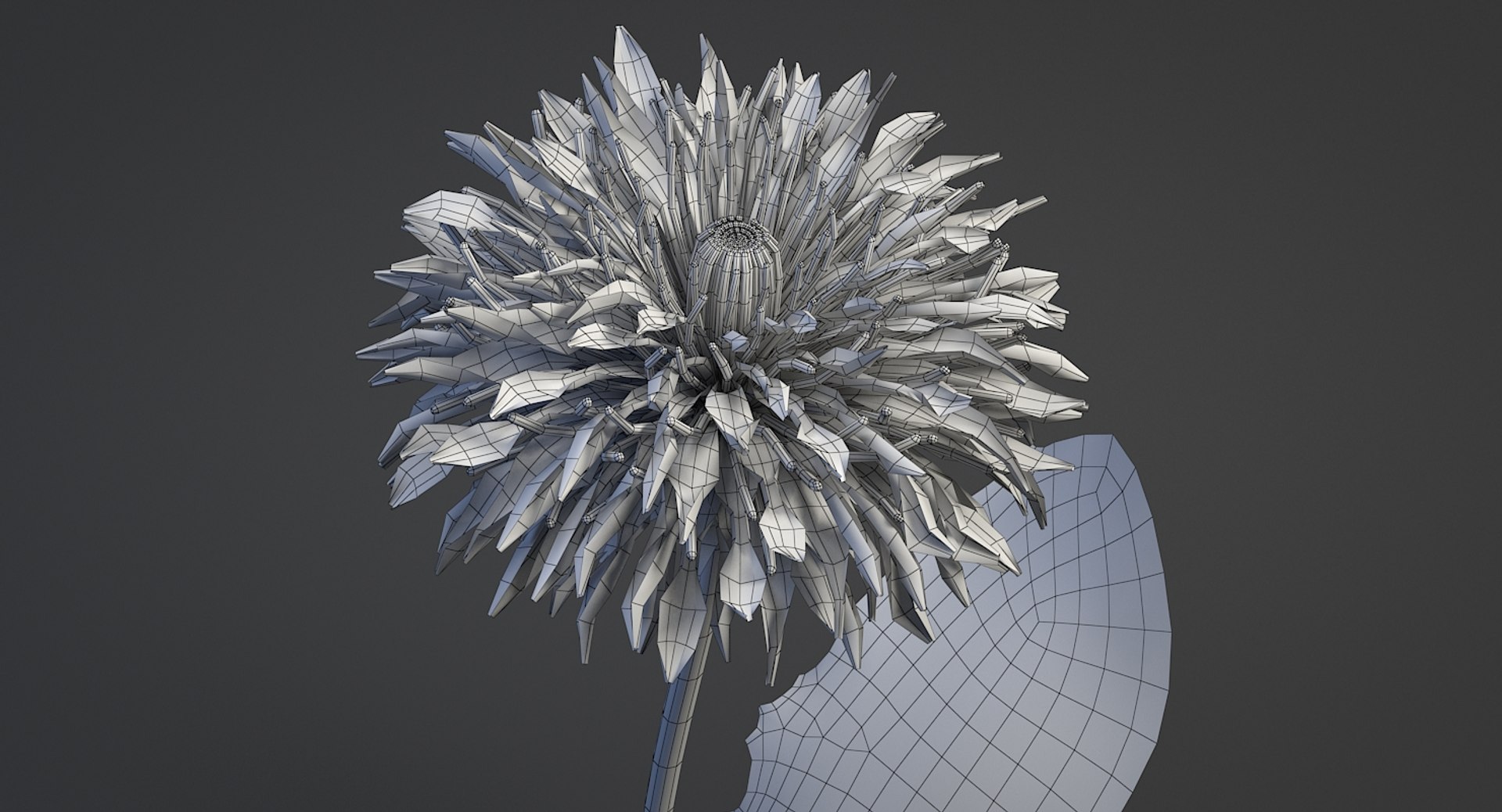 3D Realistic Dandelion Flower - TurboSquid 1230852