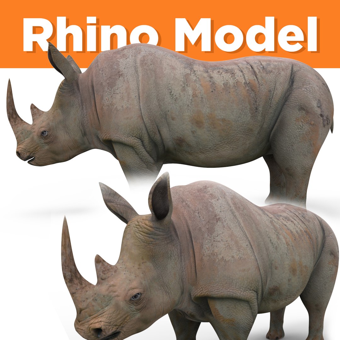 3D model realistic rhino - TurboSquid 1262401