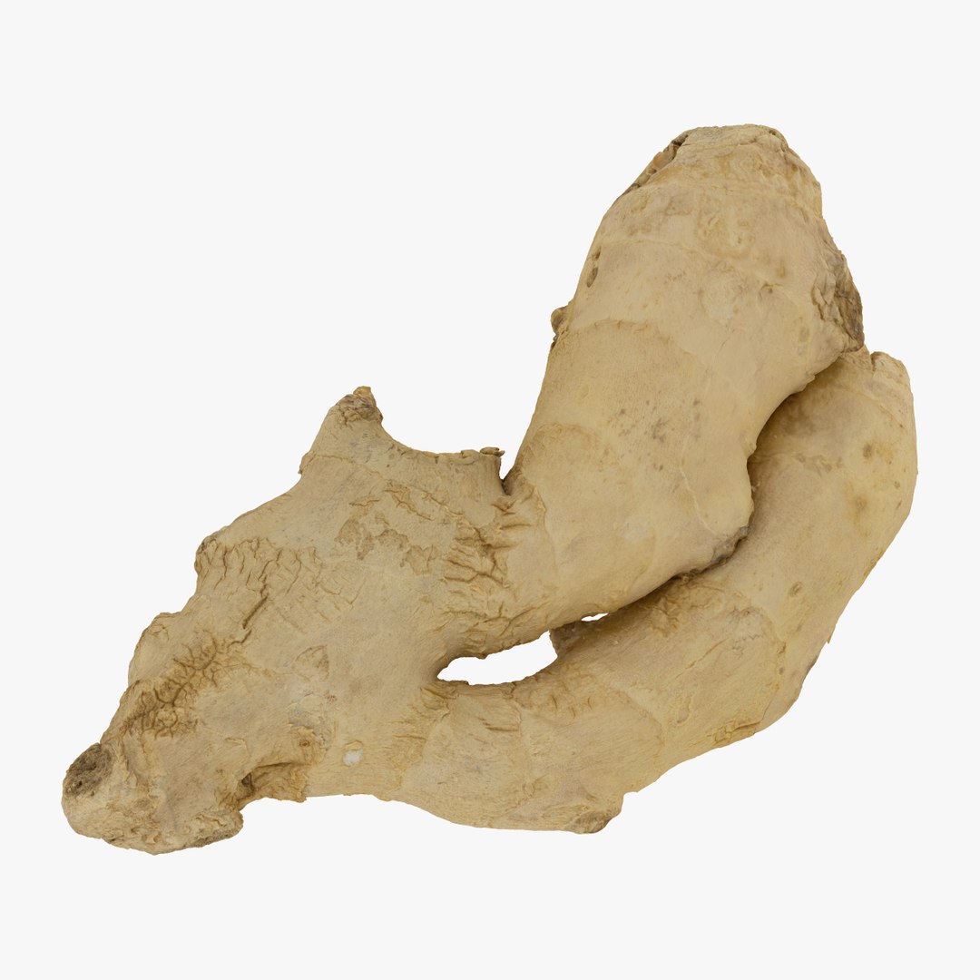 Ginger root 05 raw 3D - TurboSquid 1550272