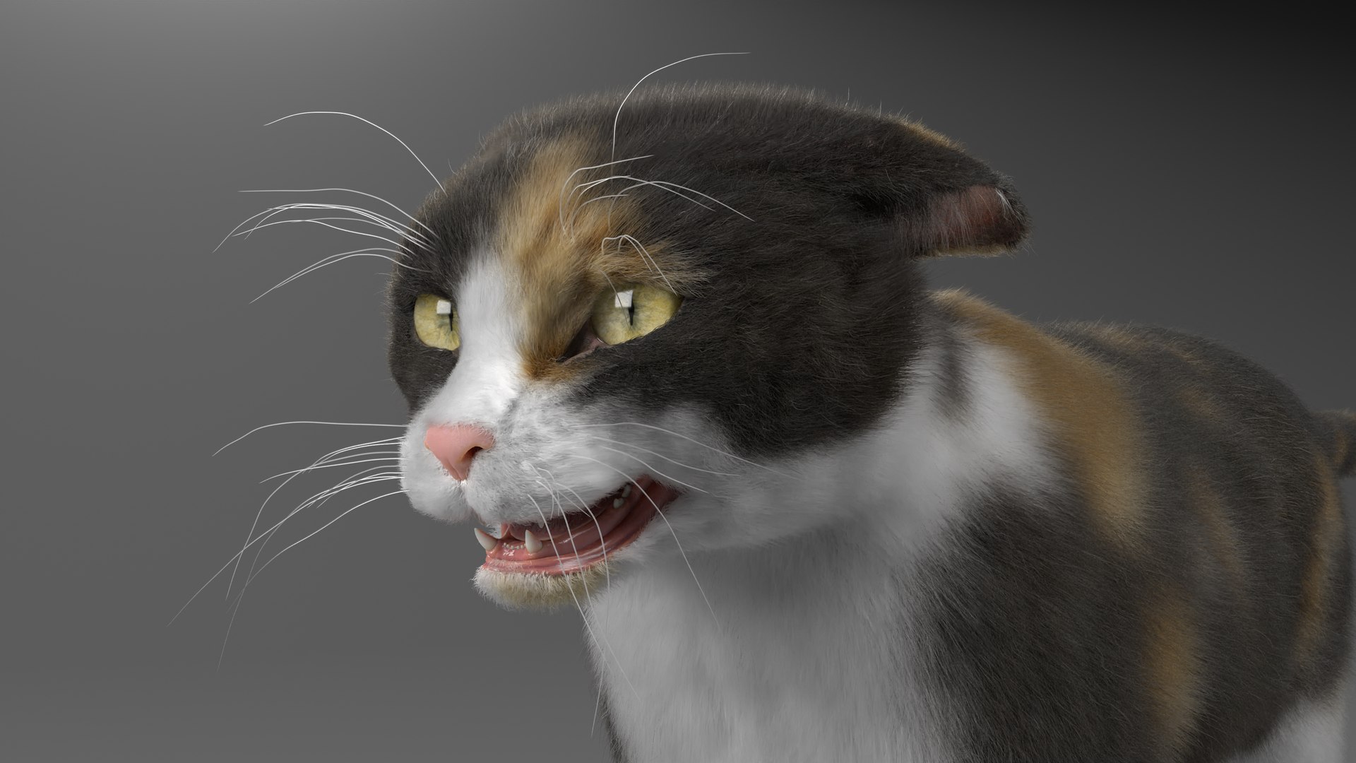 Cat Calico 3D - TurboSquid 1876888