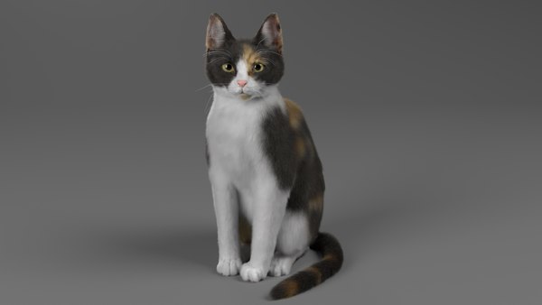 Cat Calico 3D - TurboSquid 1876888