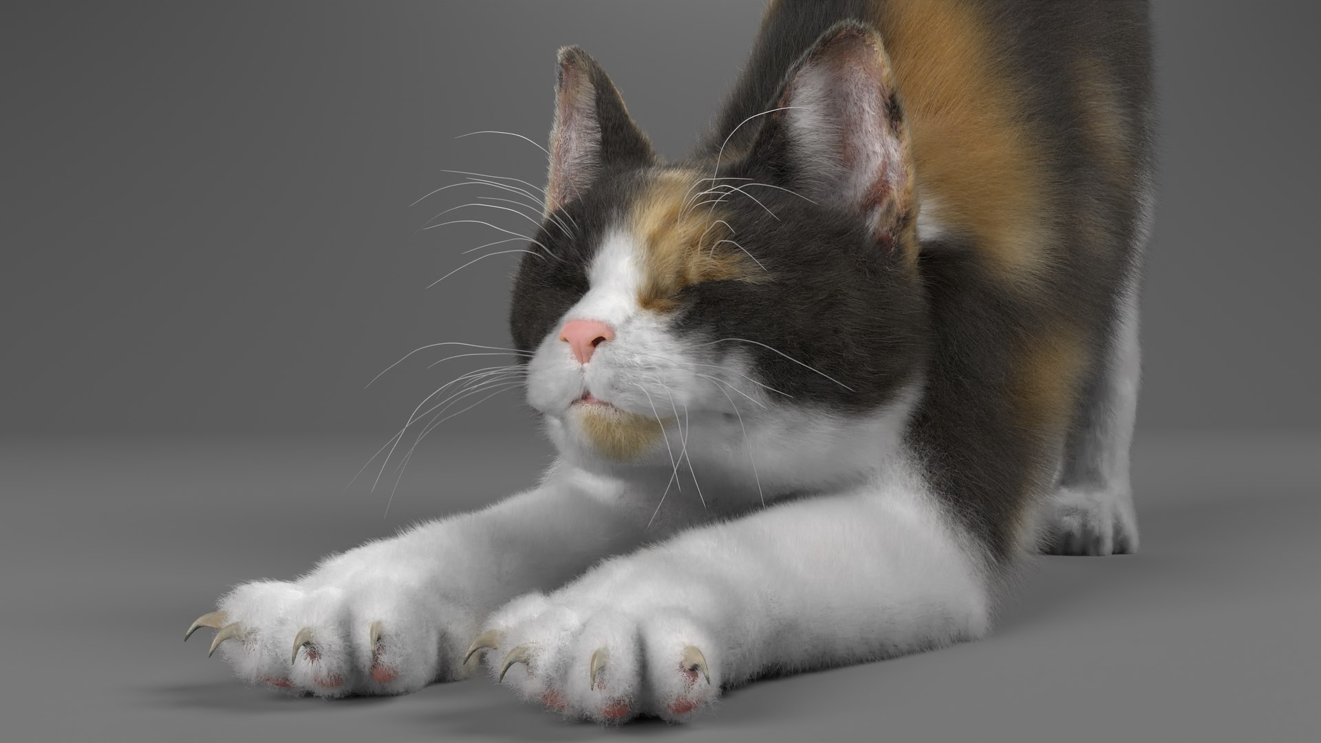 Cat Calico 3D - TurboSquid 1876888