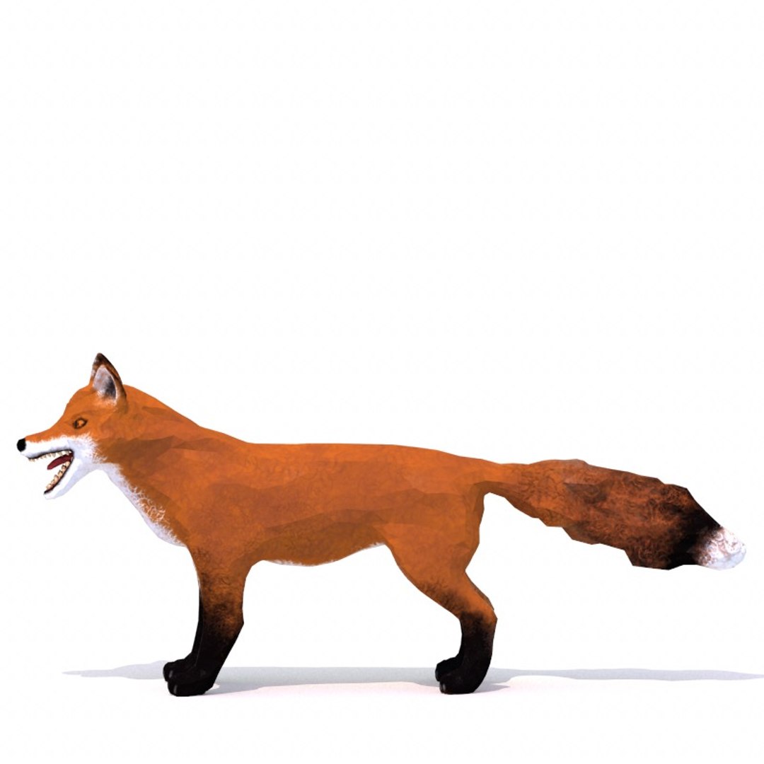 3d Model Of Fox