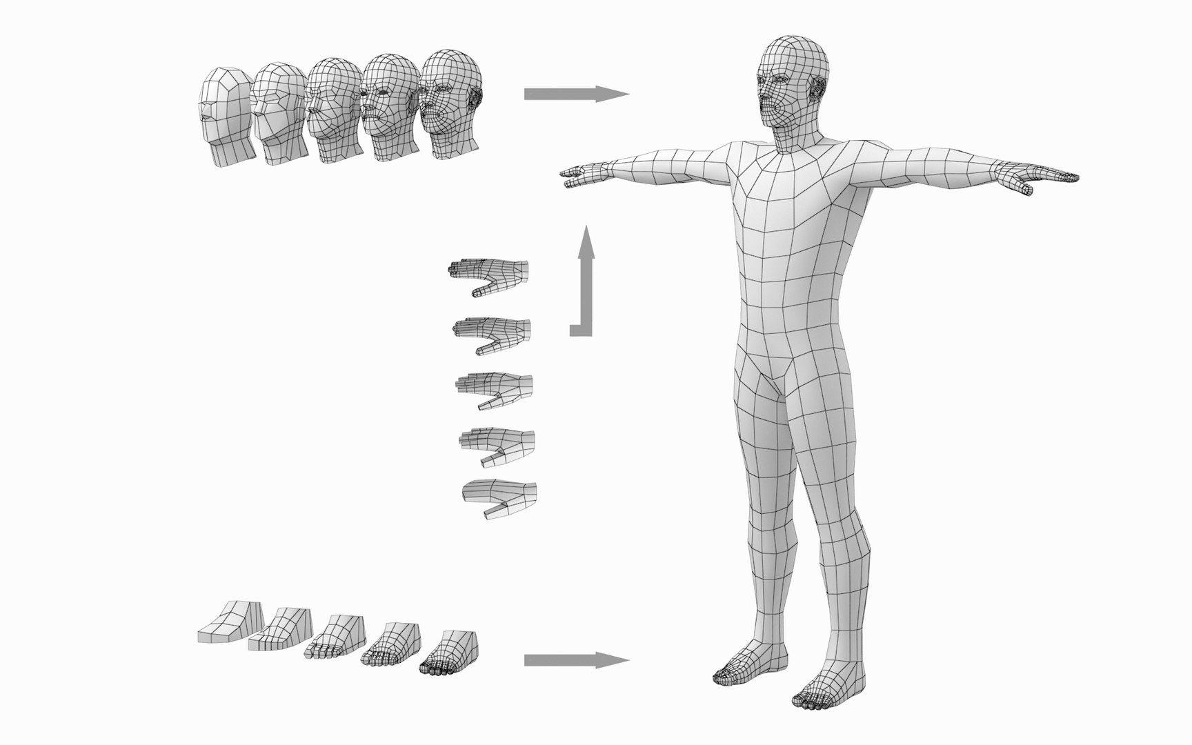Natural Male In T-Pose In 5 Topologies 3D - TurboSquid 2121798