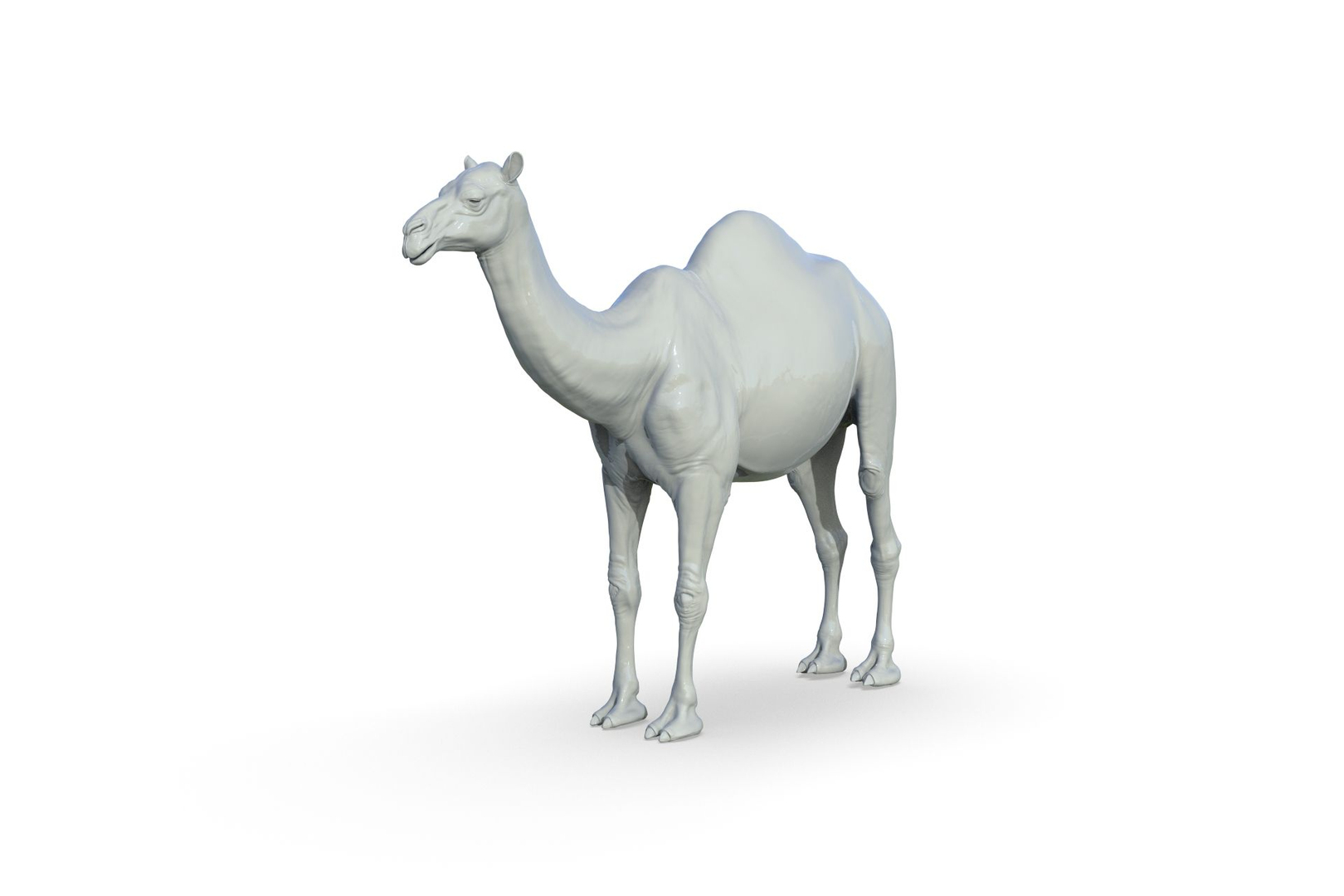 Camel 3D Model - TurboSquid 2205883