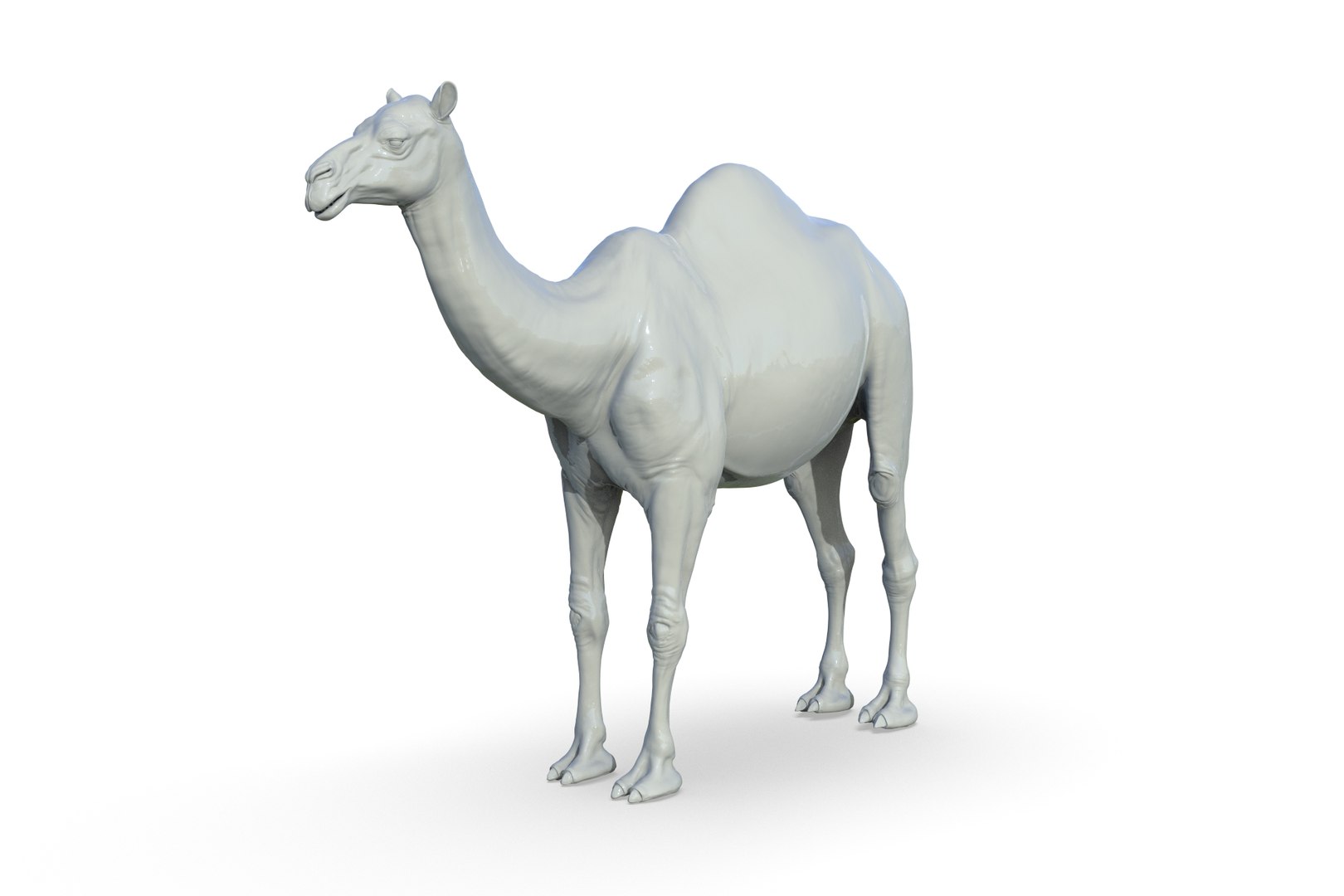 Camel 3D Model - TurboSquid 2205883