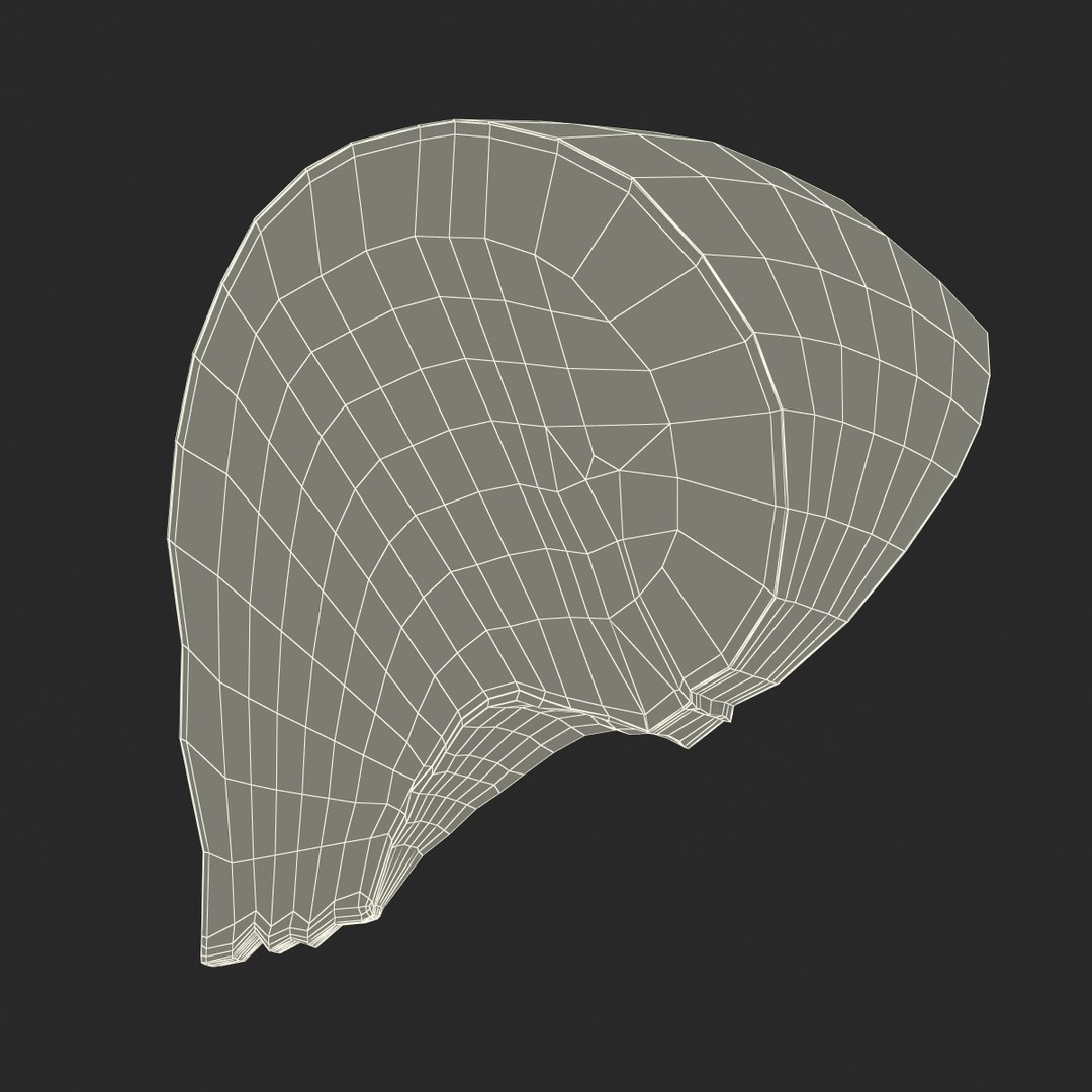 3d model sliced plum modeled