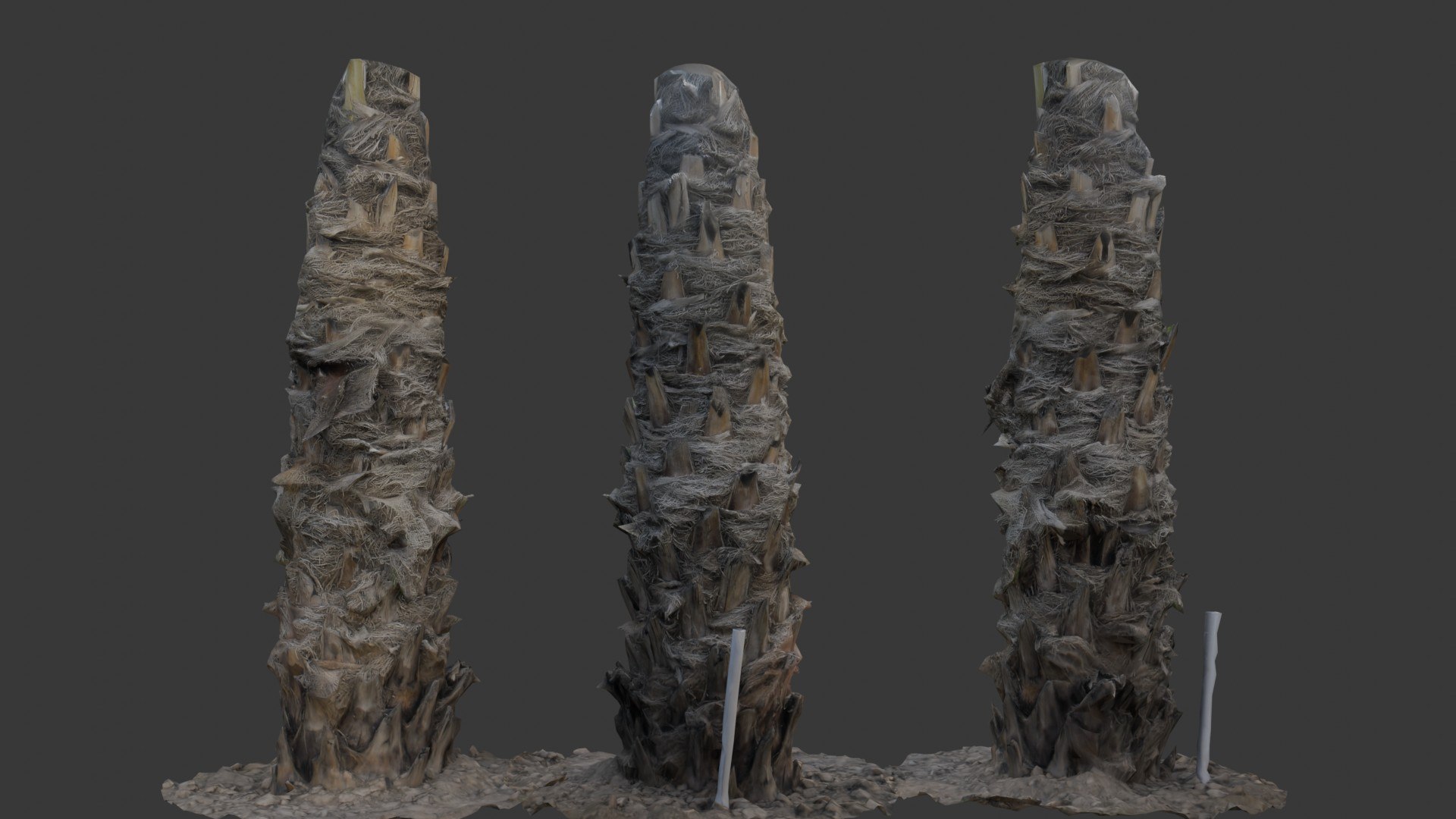 3D Palm Tree Trunk With Fiber Mesh - TurboSquid 2408909