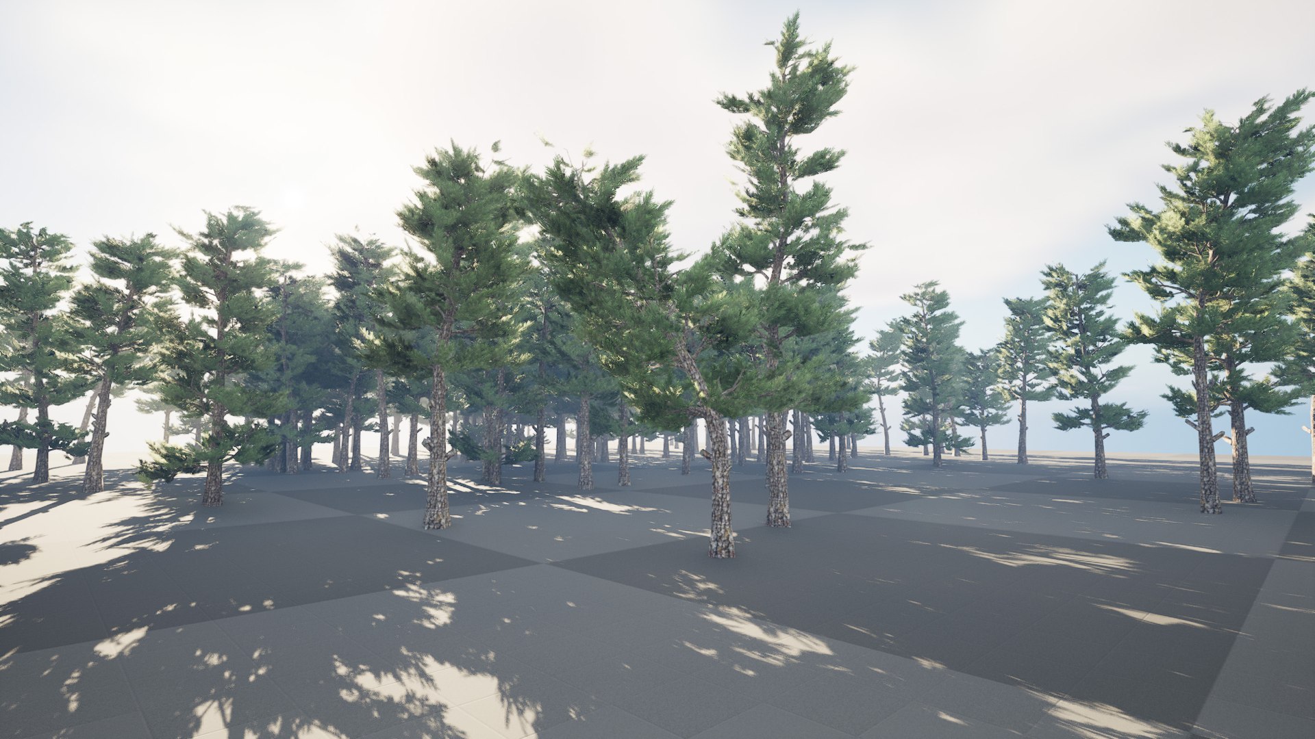 3D Conifer Pine Forest Trees - TurboSquid 2092839