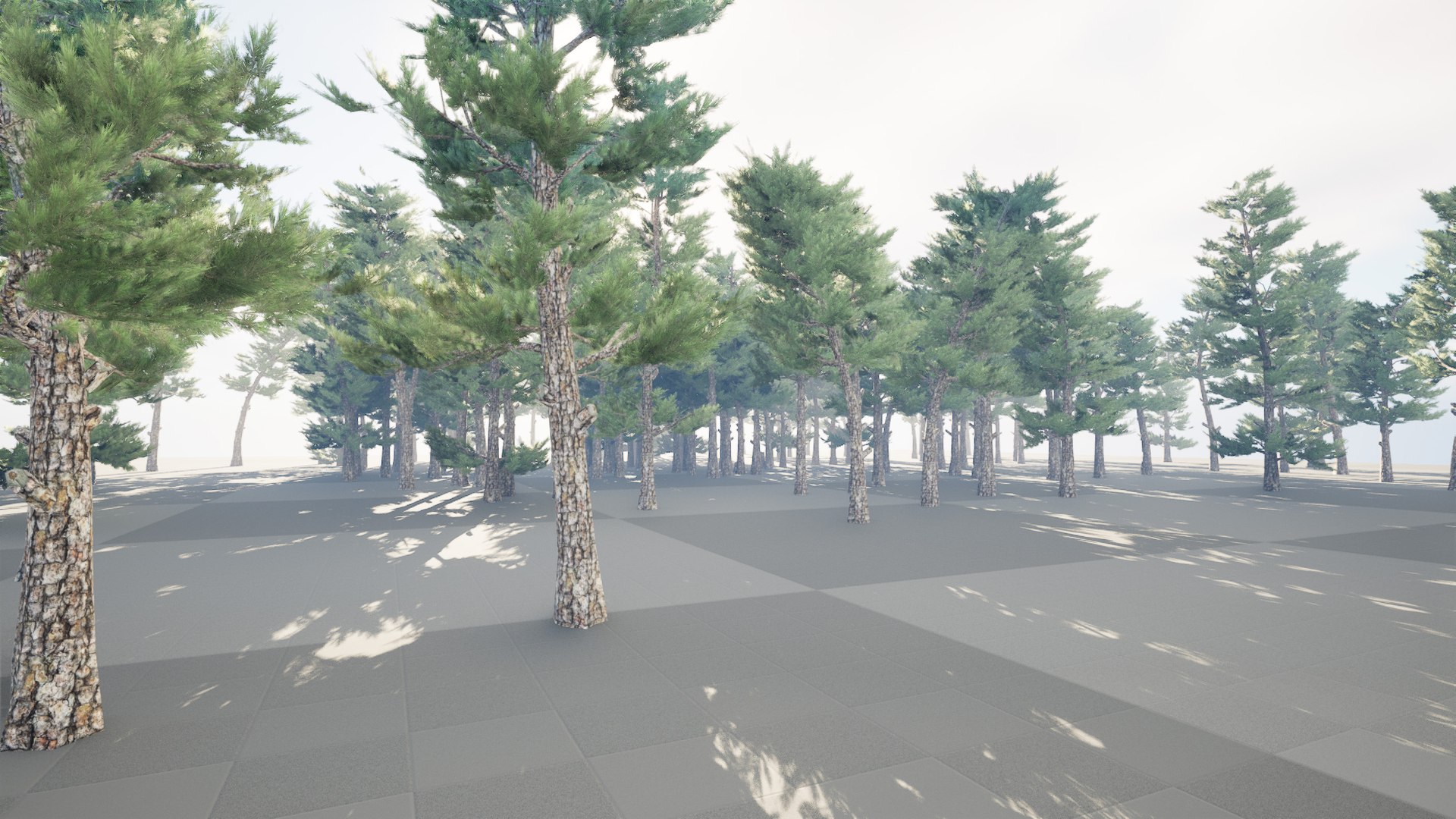 3D Conifer Pine Forest Trees - TurboSquid 2092839