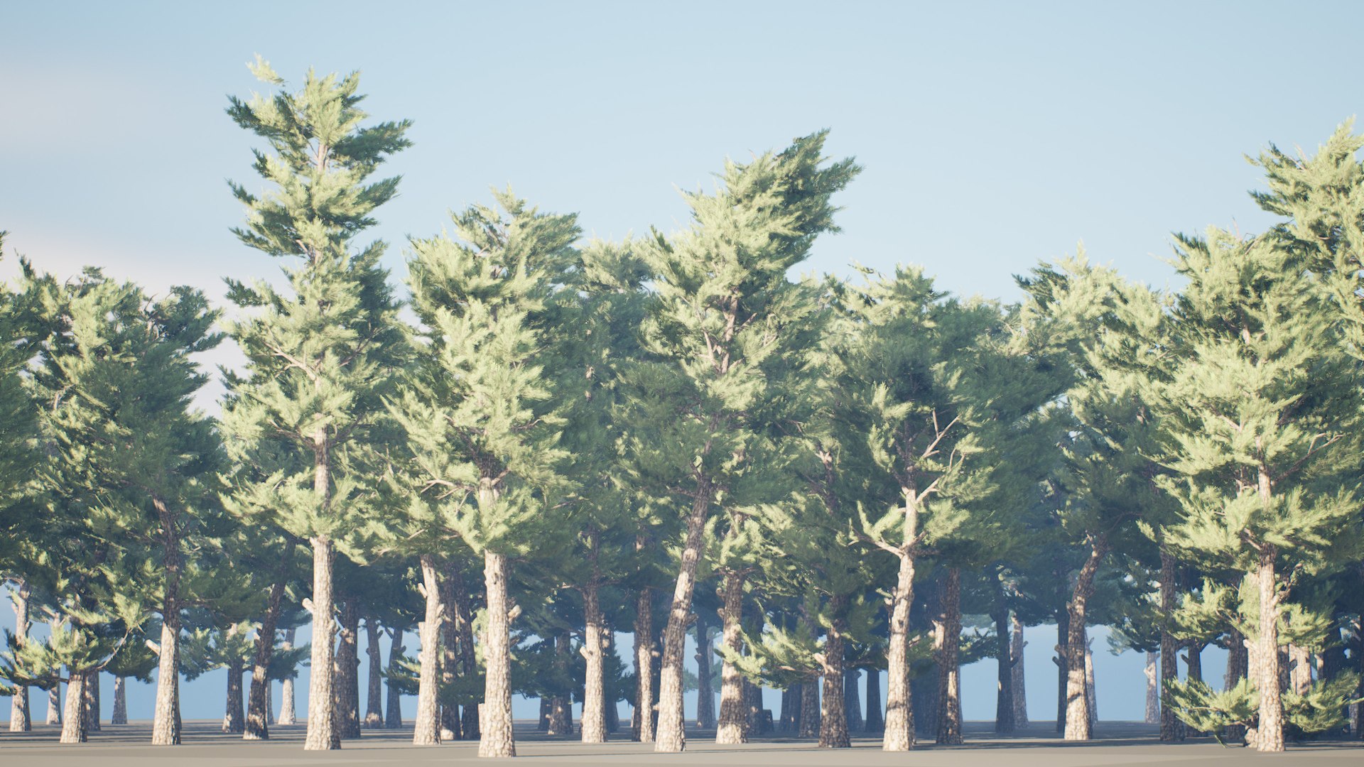 3D Conifer Pine Forest Trees - TurboSquid 2092839