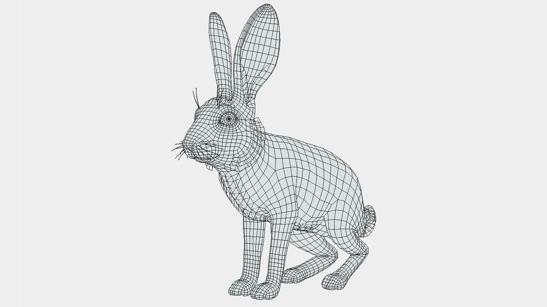 3D Model Hare - Young - TurboSquid 2127934
