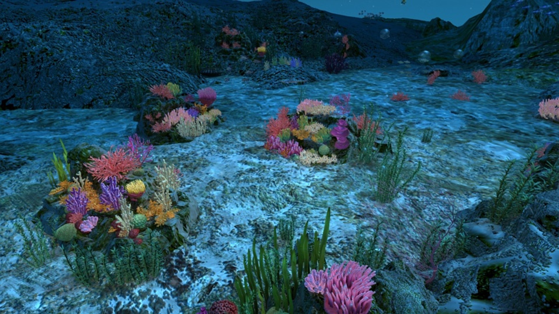 Ocean Floor Coral Reefs 3d Max