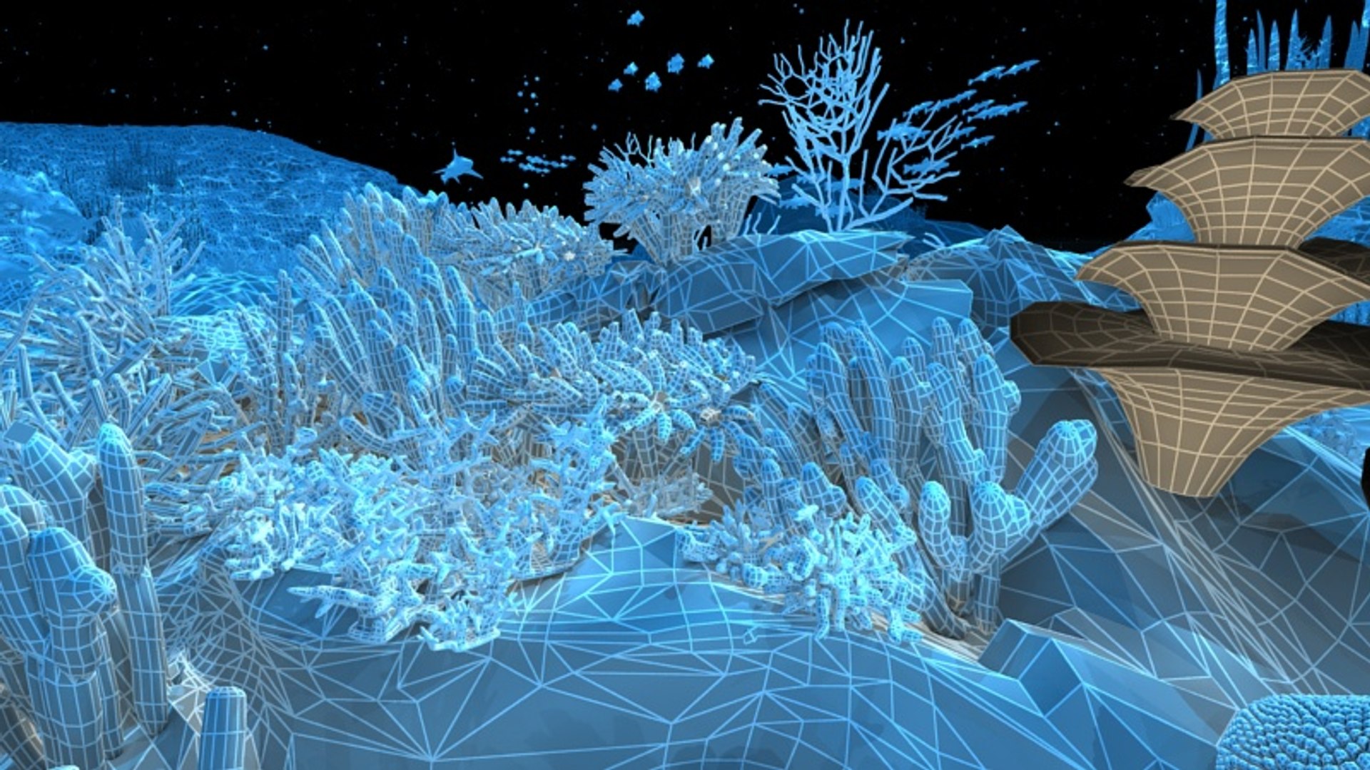 Ocean Floor Coral Reefs 3d Max