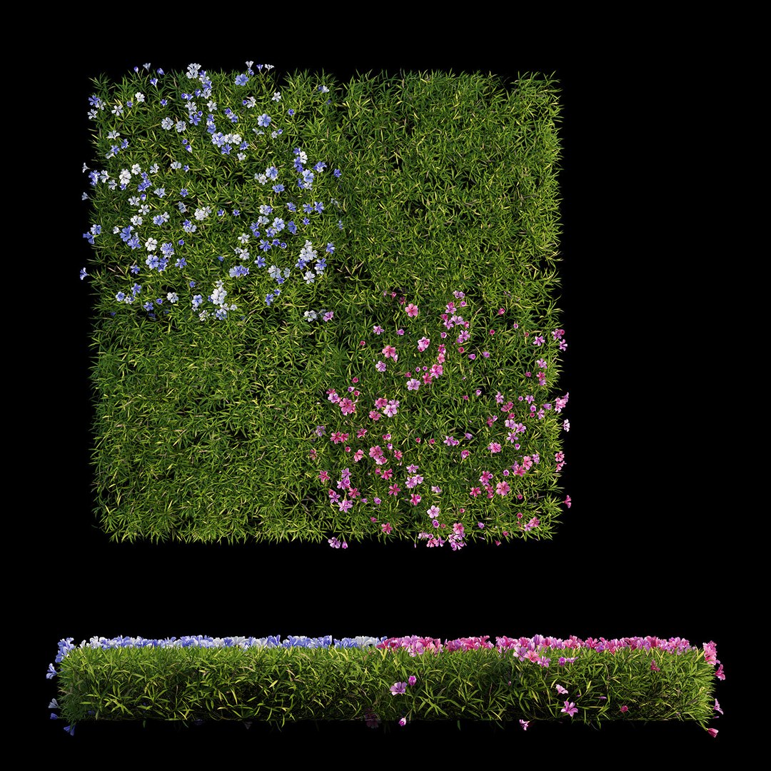 3D model plant flower set 06 - TurboSquid 1533610