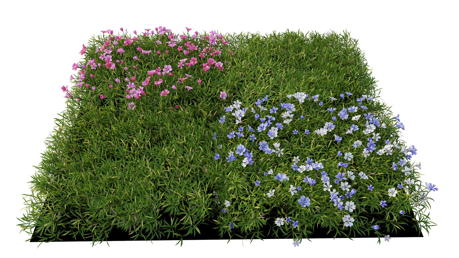 3D model plant flower set 06 - TurboSquid 1533610