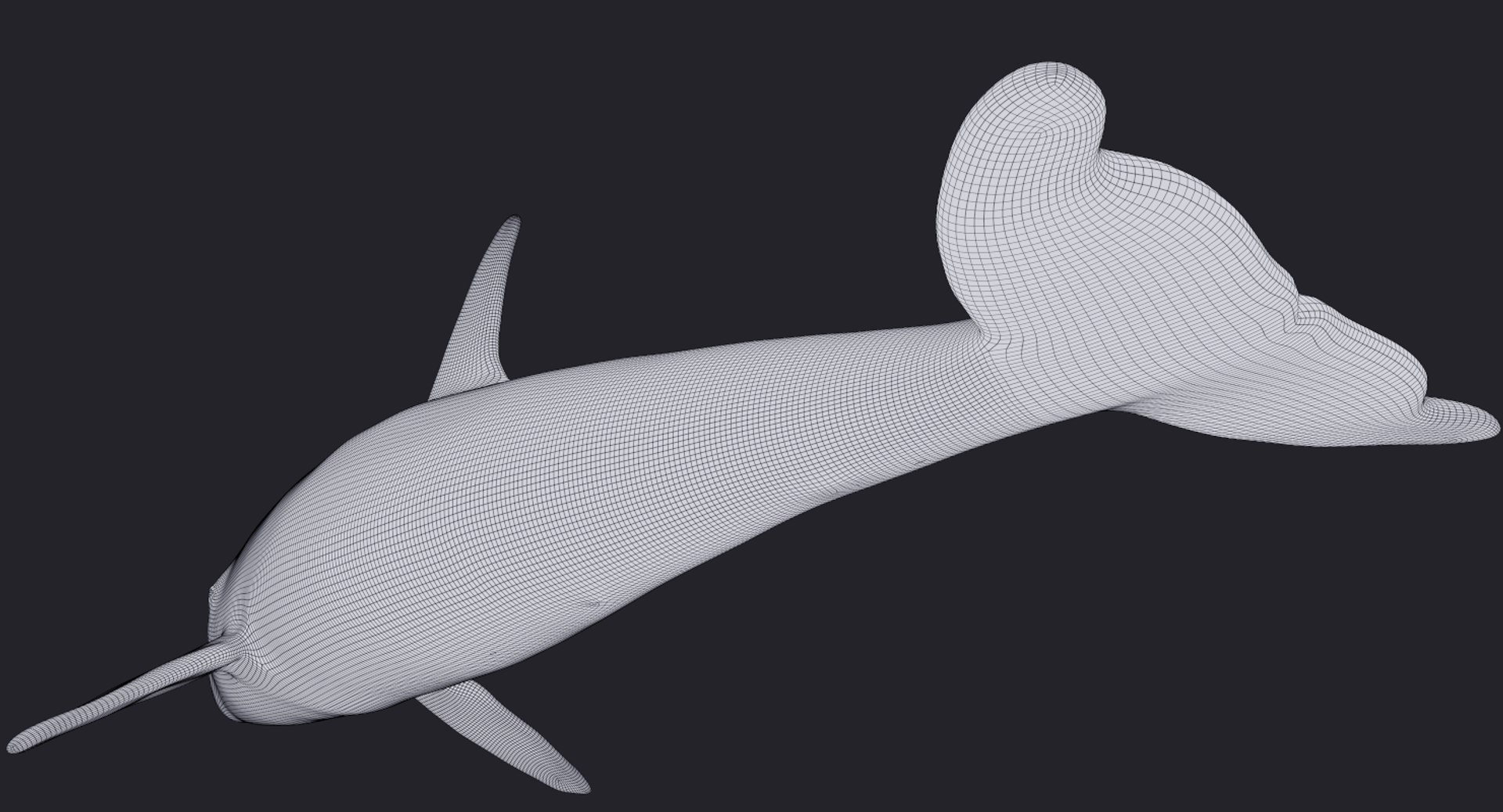 3D Killer Whale Model - TurboSquid 1347491