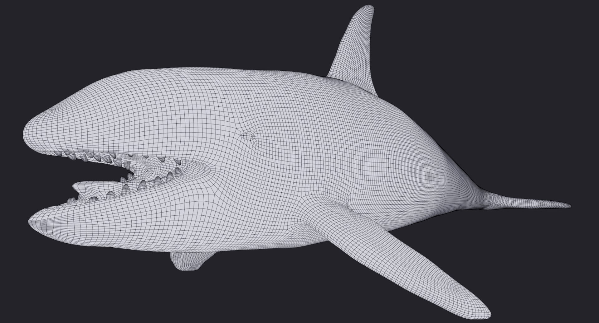 3D Killer Whale Model - TurboSquid 1347491