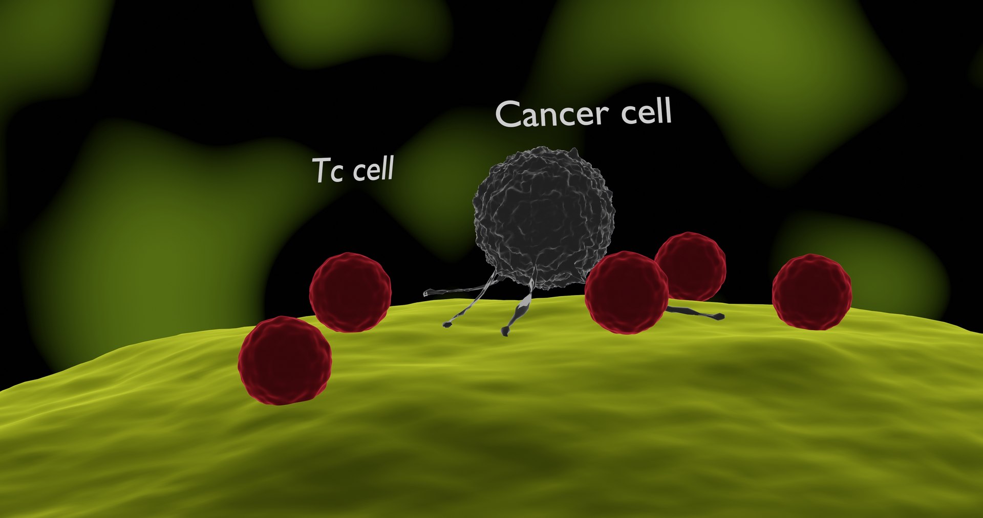 3D tc cells attacking cancerous model - TurboSquid 1593929
