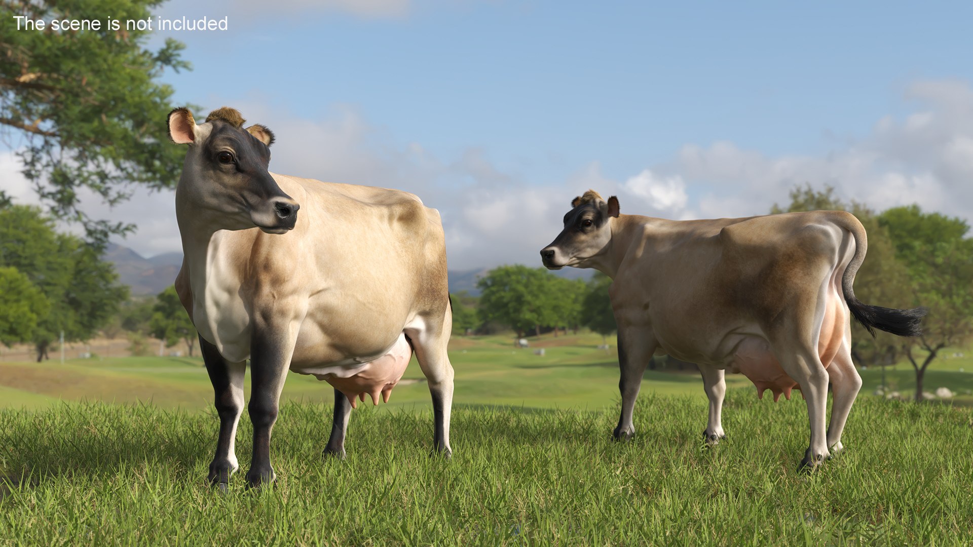 3D Channel Island Cow Beige Fur - TurboSquid 2310800