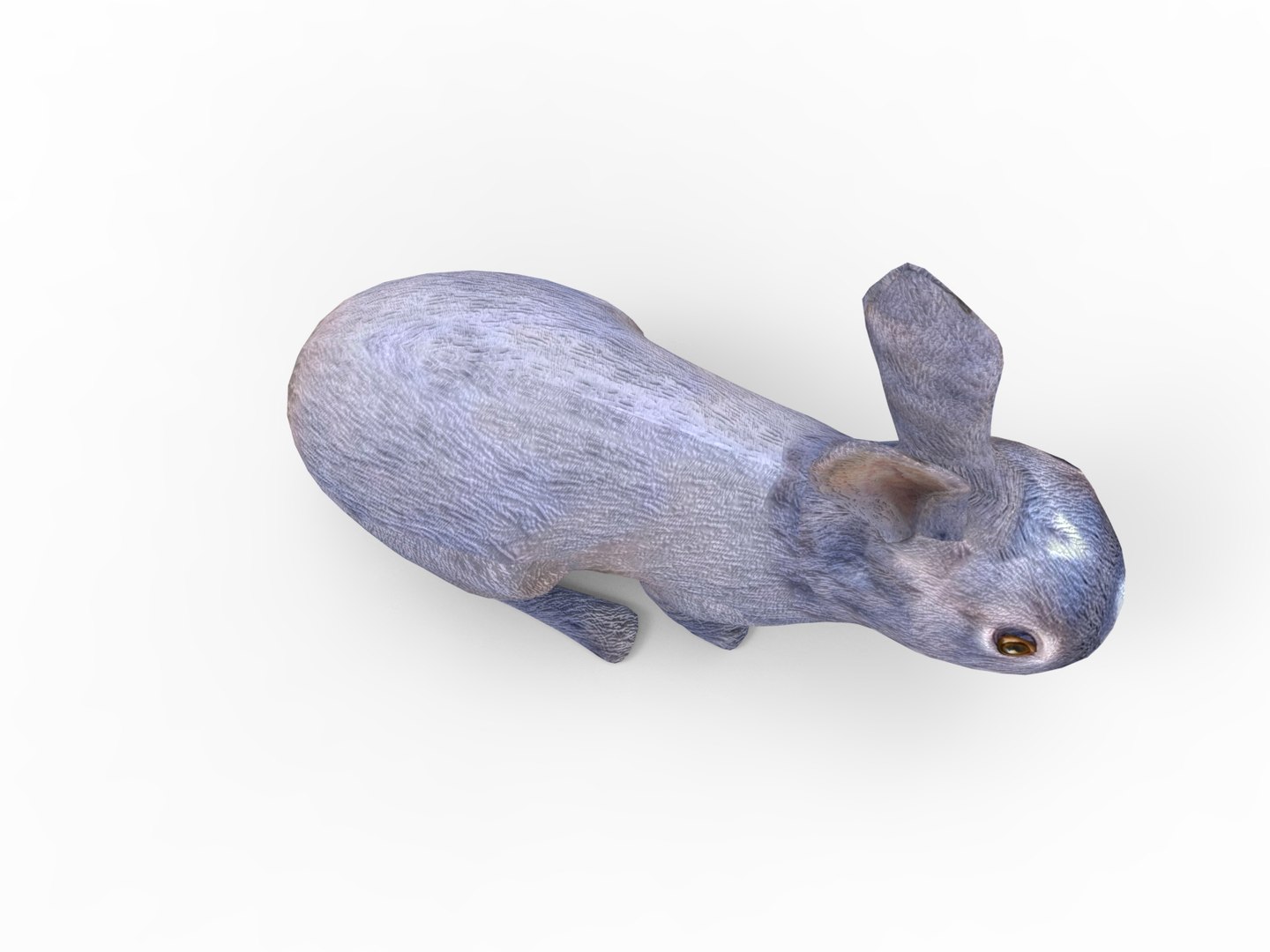 Rabbit Model - TurboSquid 1194284