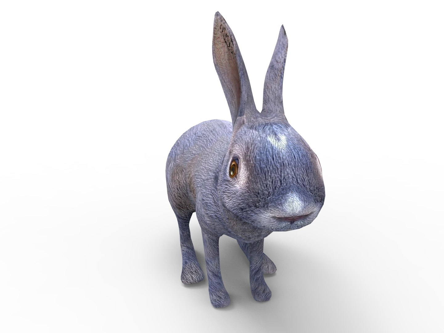 Rabbit Model - TurboSquid 1194284