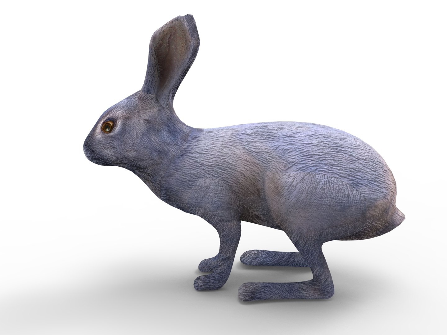 Rabbit Model - TurboSquid 1194284