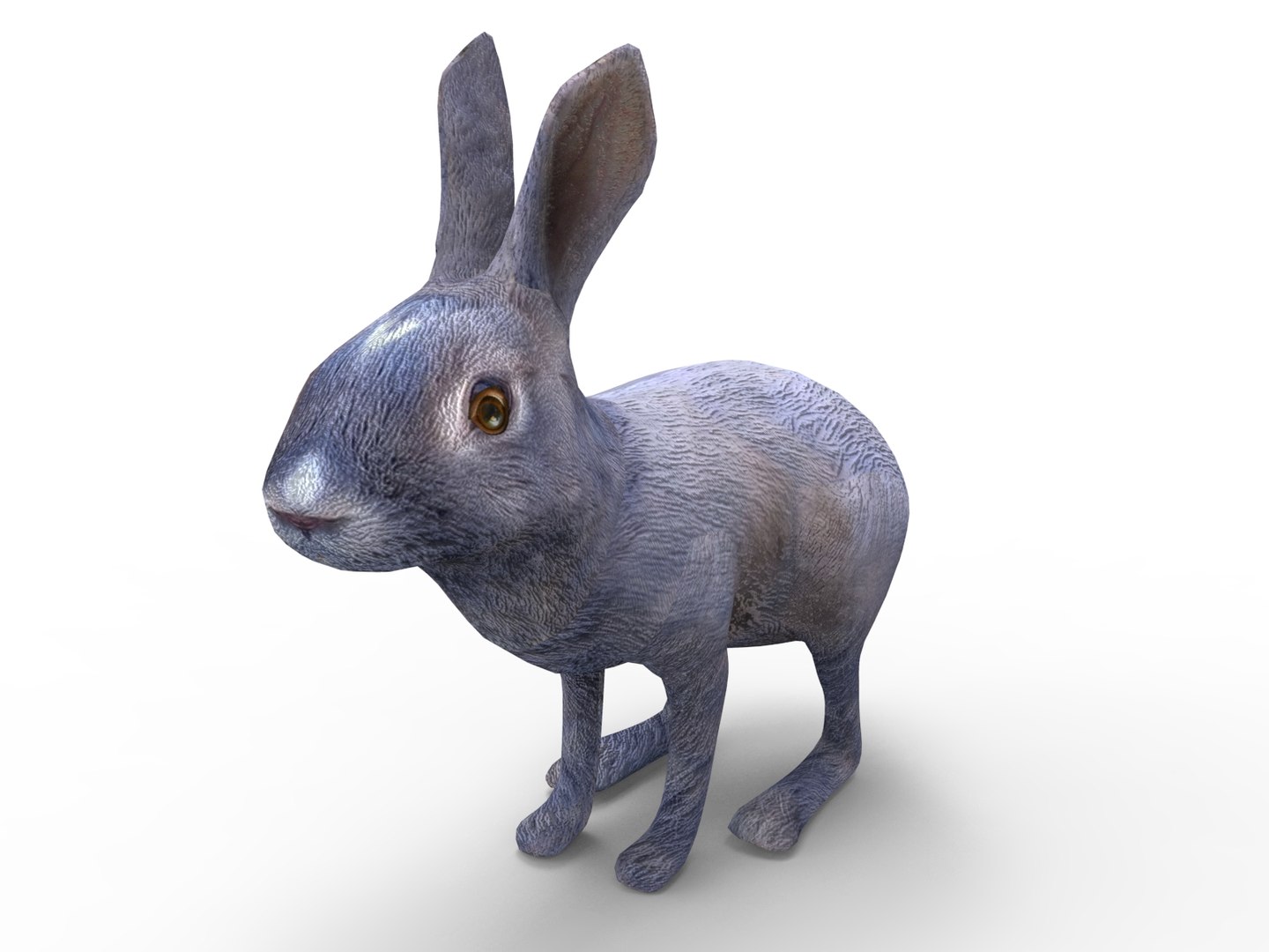 Rabbit Model - TurboSquid 1194284