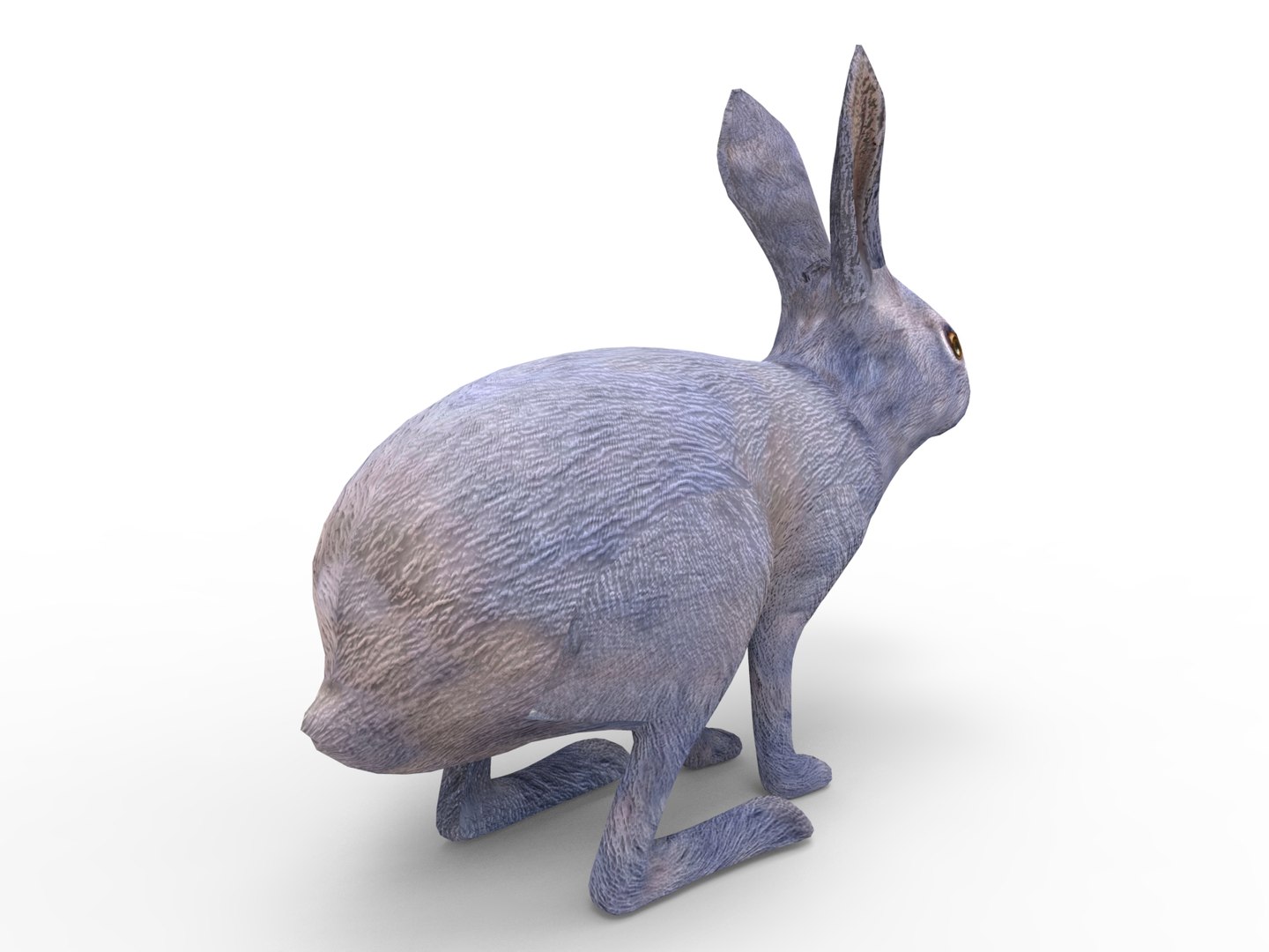 Rabbit Model - TurboSquid 1194284