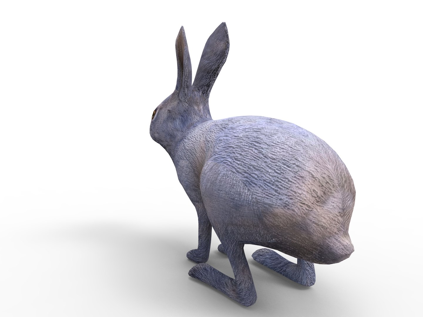 Rabbit Model - TurboSquid 1194284