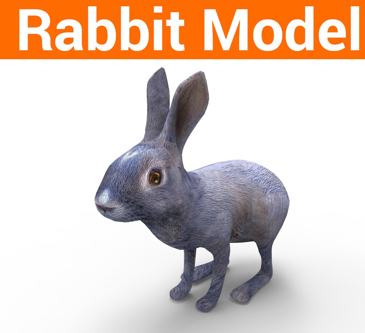 Rabbit Model - TurboSquid 1194284