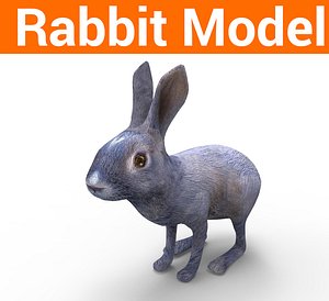Rabbit 3D Models for Download | TurboSquid