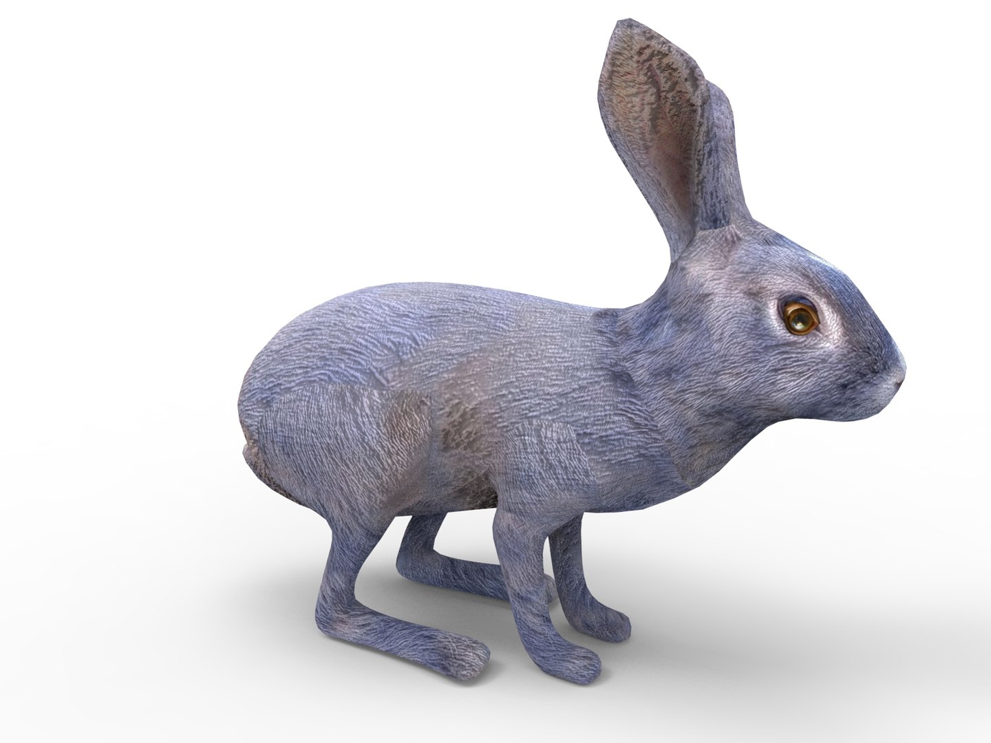 Rabbit Model - TurboSquid 1194284