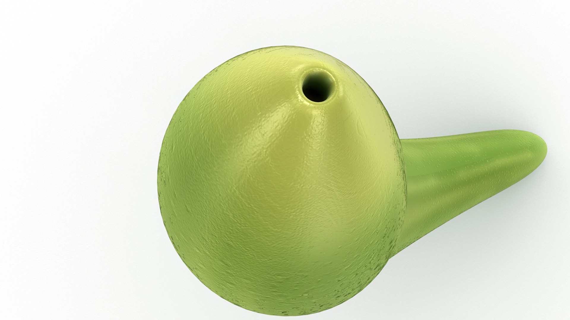 ma convoluta