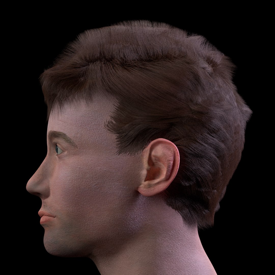 Male Head Adam 3D Model - TurboSquid 1244026