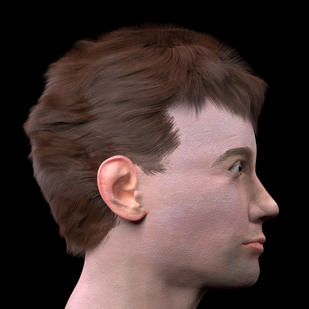 Male Head Adam 3D Model - TurboSquid 1244026