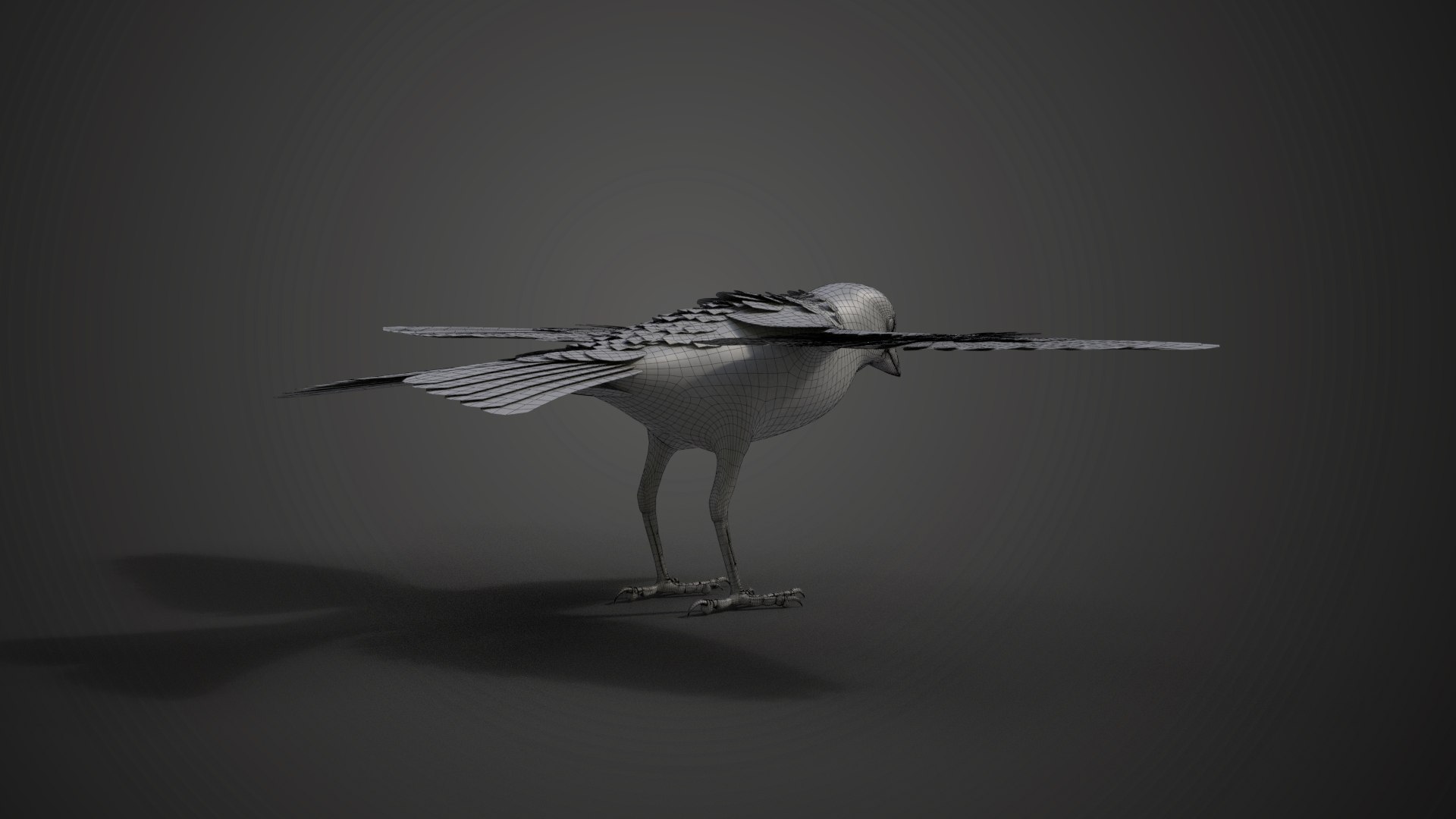 3D model Sparrow Animated - TurboSquid 2078887
