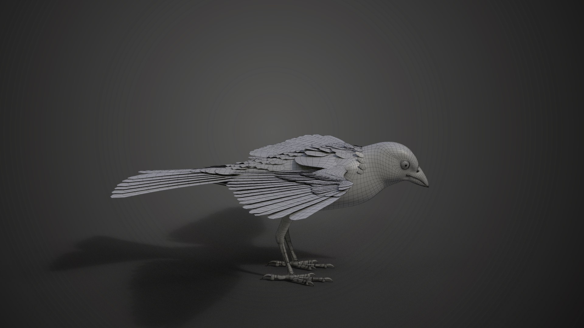 3D model Sparrow Animated - TurboSquid 2078887