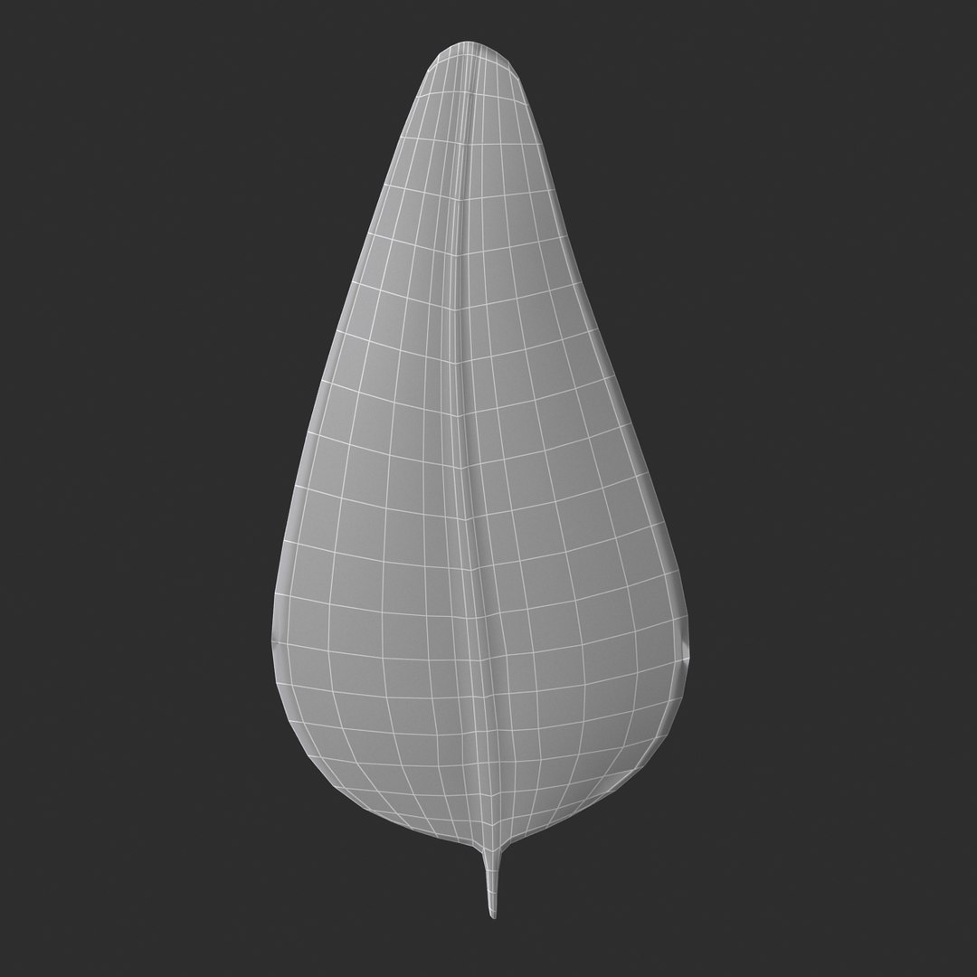 Feather 3d Model