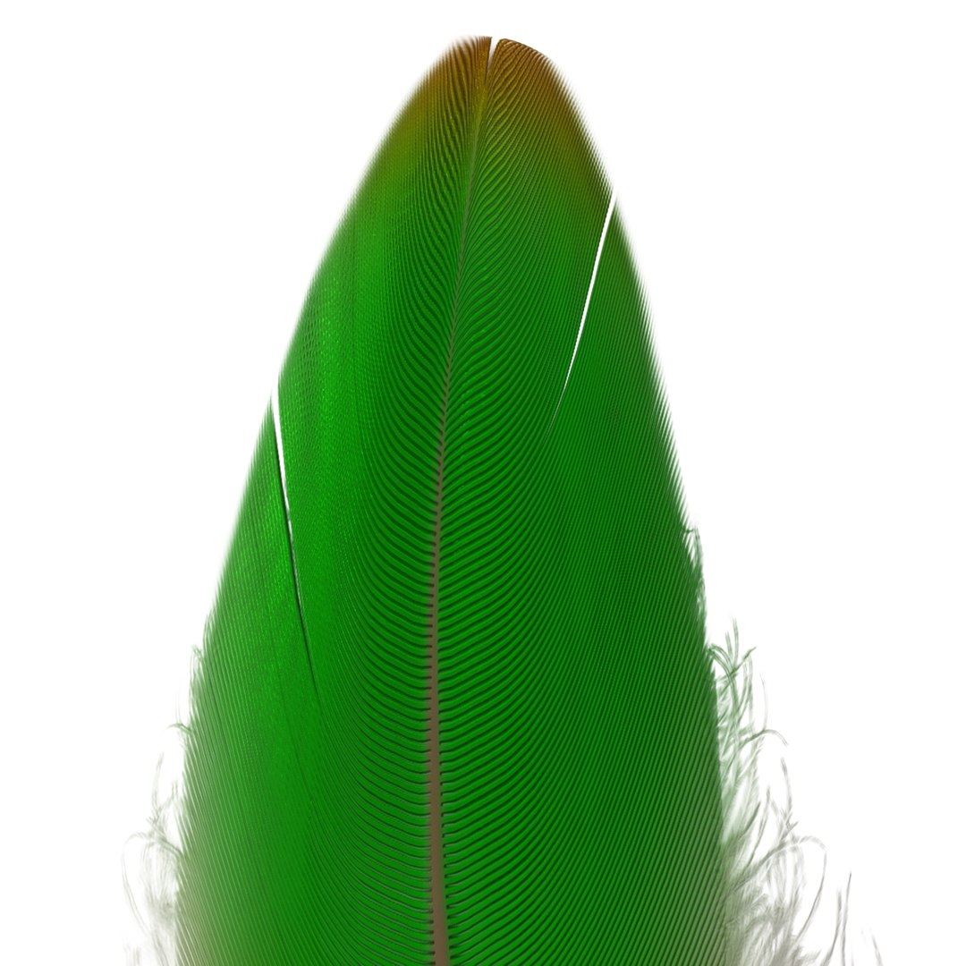 Feather 3d Model