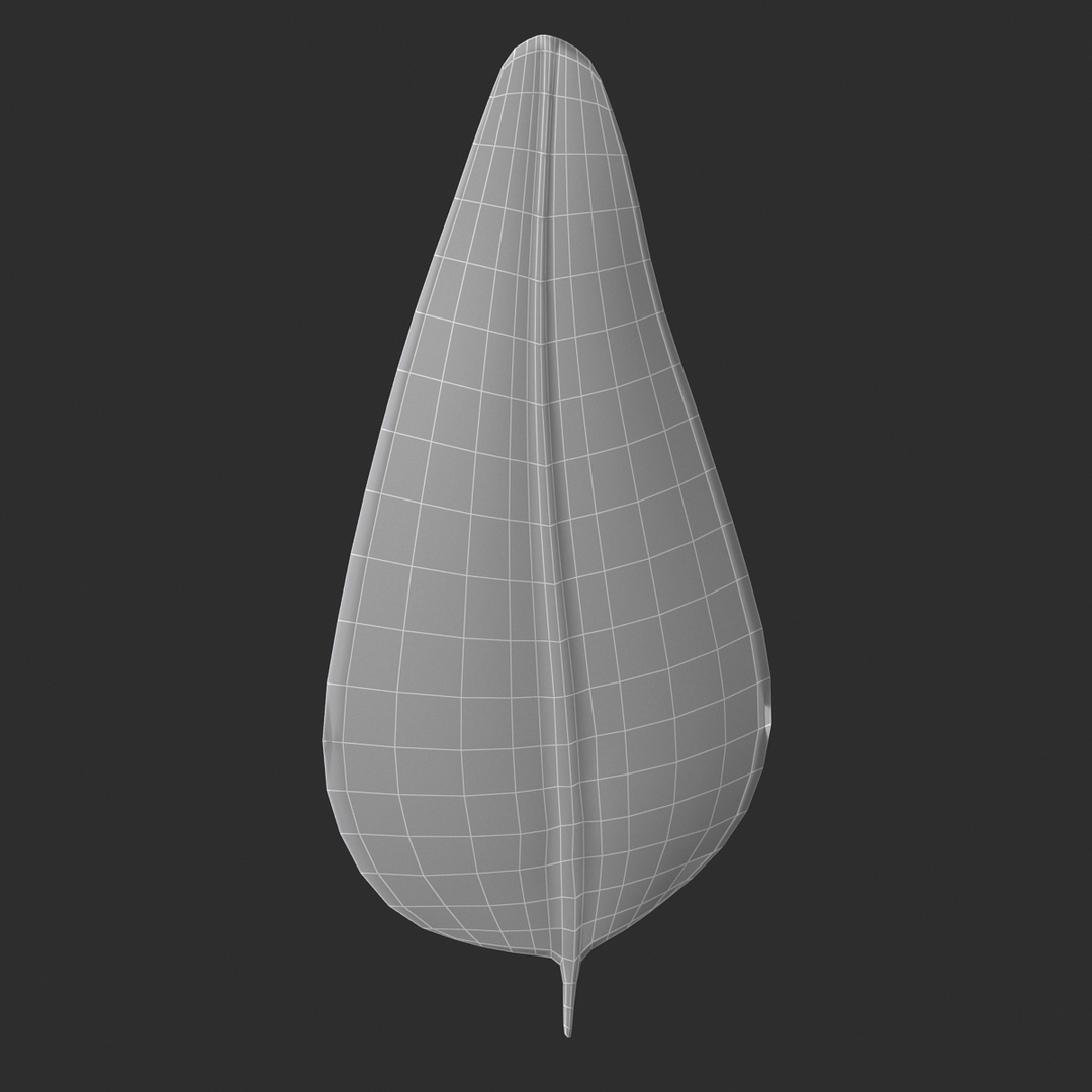 Feather 3d Model