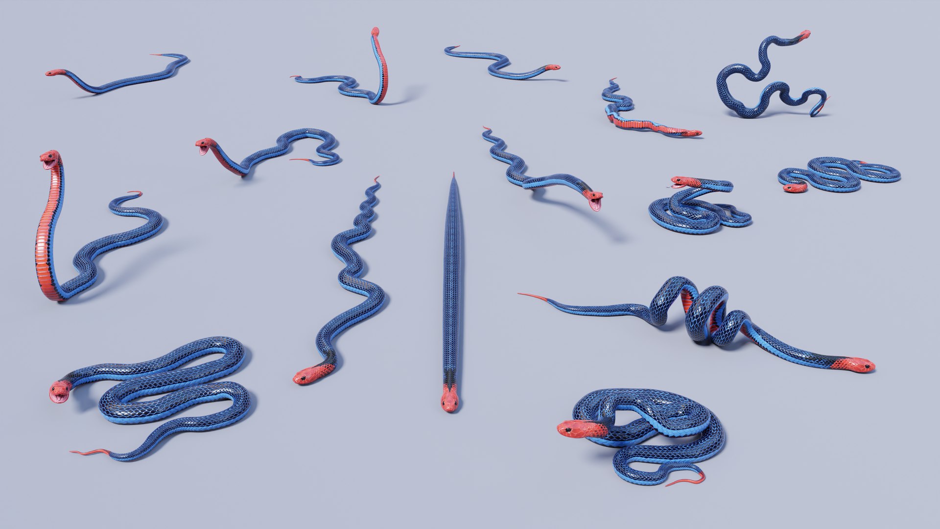 3D Blue Coral Snake - Static Poses - TurboSquid 2020566