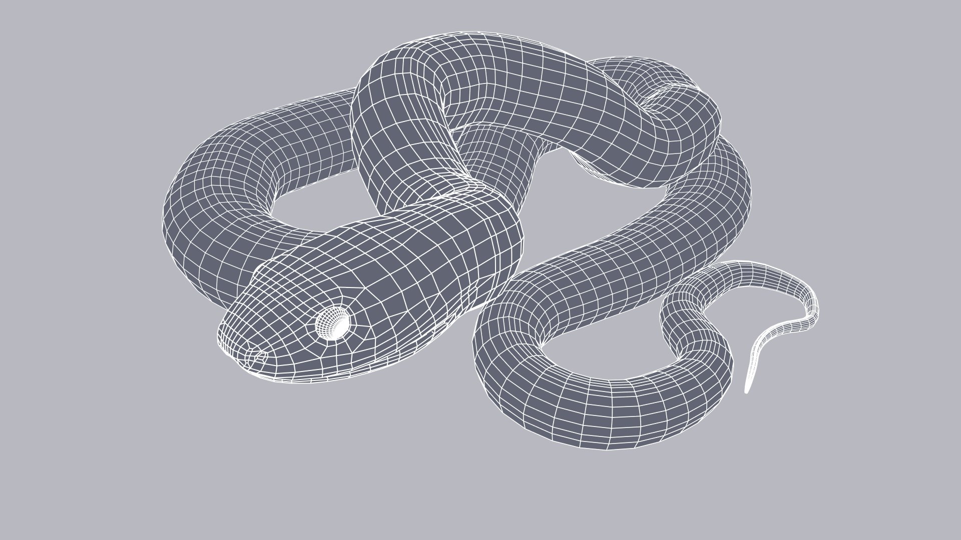 3D Blue Coral Snake - Static Poses - TurboSquid 2020566