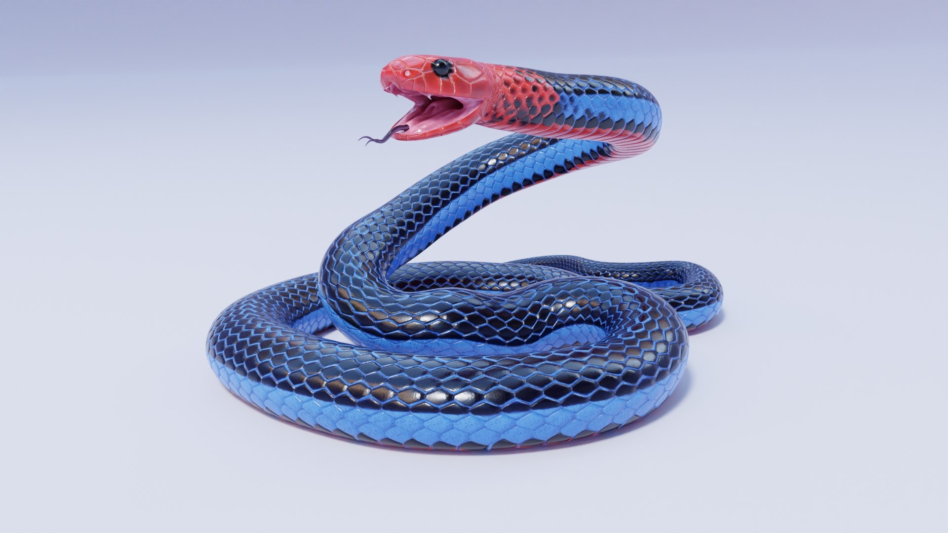 3D Blue Coral Snake - Static Poses - TurboSquid 2020566