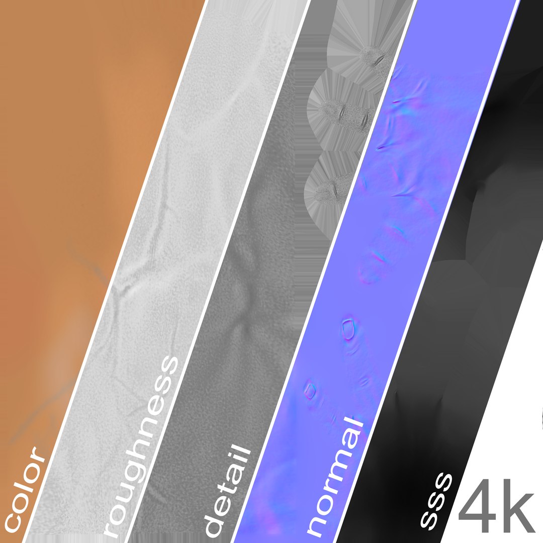 Hand Skin 3D Model - TurboSquid 1610423