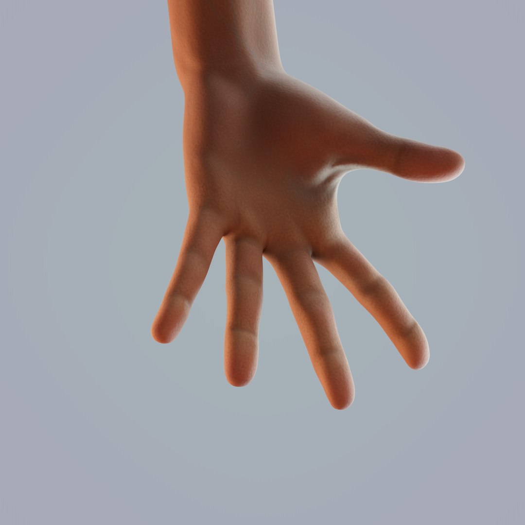 Hand Skin 3D Model - TurboSquid 1610423